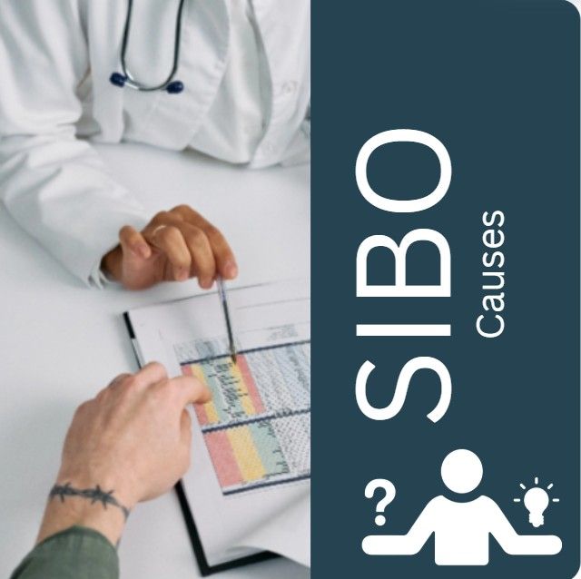 Possible causes of SIBO: an overview