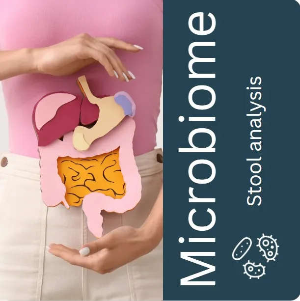 Gut Microbiome Analysis: Stool Test - SIBO Academy